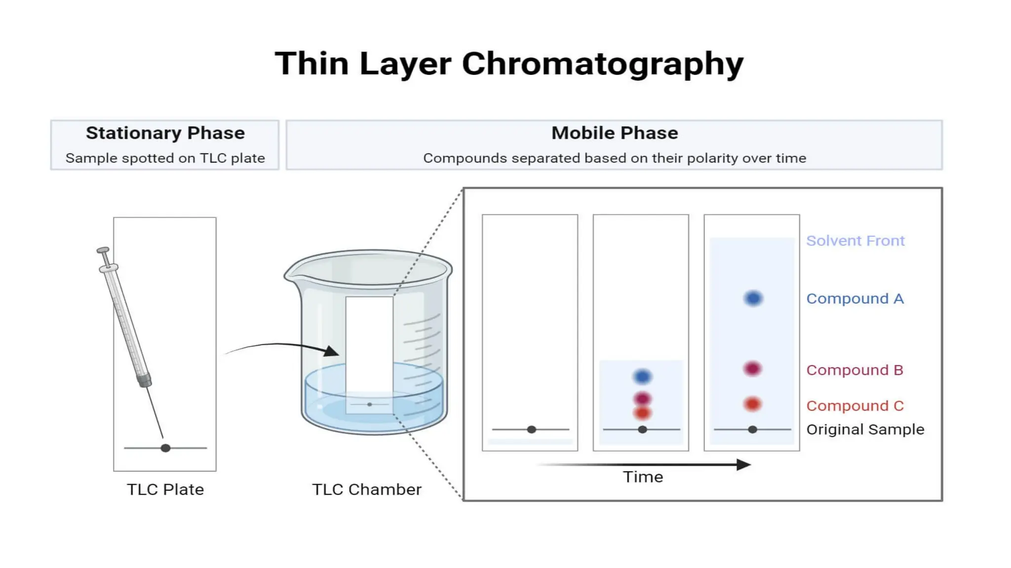 LECTURE5 TLC.pptx thin layer chromatography | PPTX
