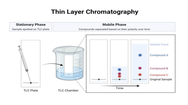 LECTURE5 TLC.pptx thin layer chromatography | PPTX | Chemistry | Science