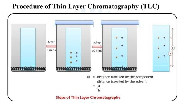 LECTURE5 TLC.pptx thin layer chromatography | PPTX | Chemistry | Science