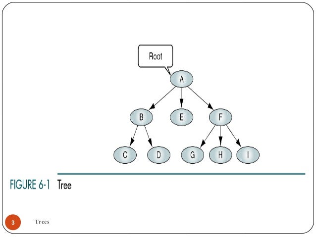Lecture 5 Trees