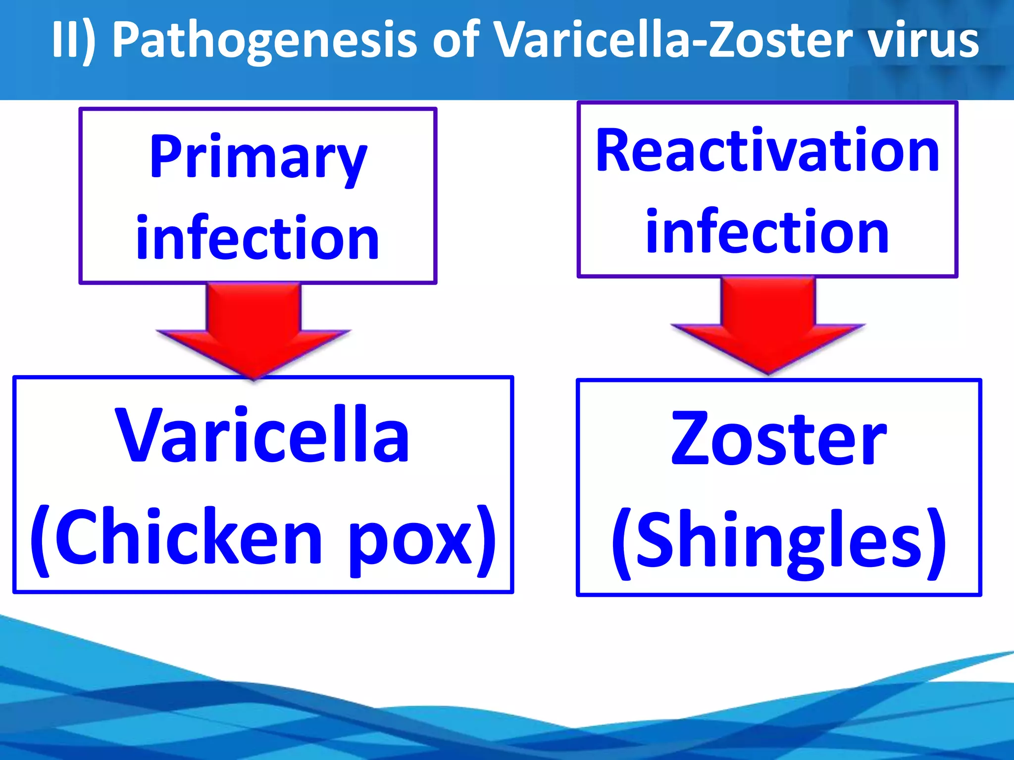 Lecture 5 Varciella-Zoster virus.pptx