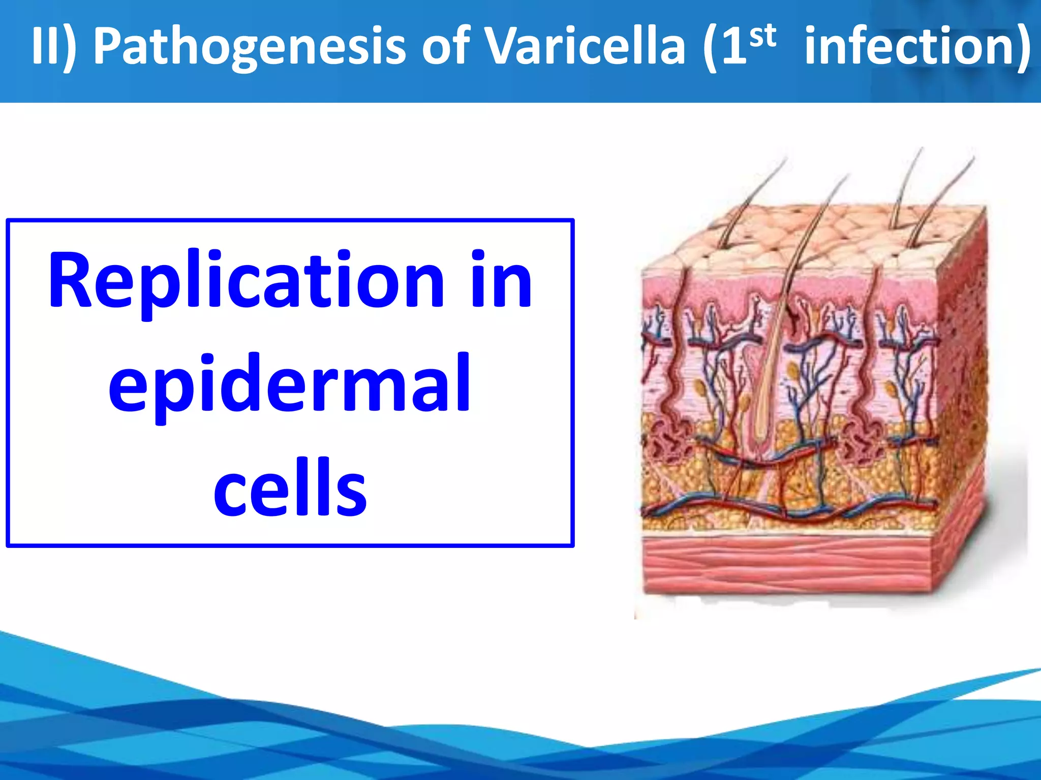 Lecture 5 Varciella-Zoster virus.pptx