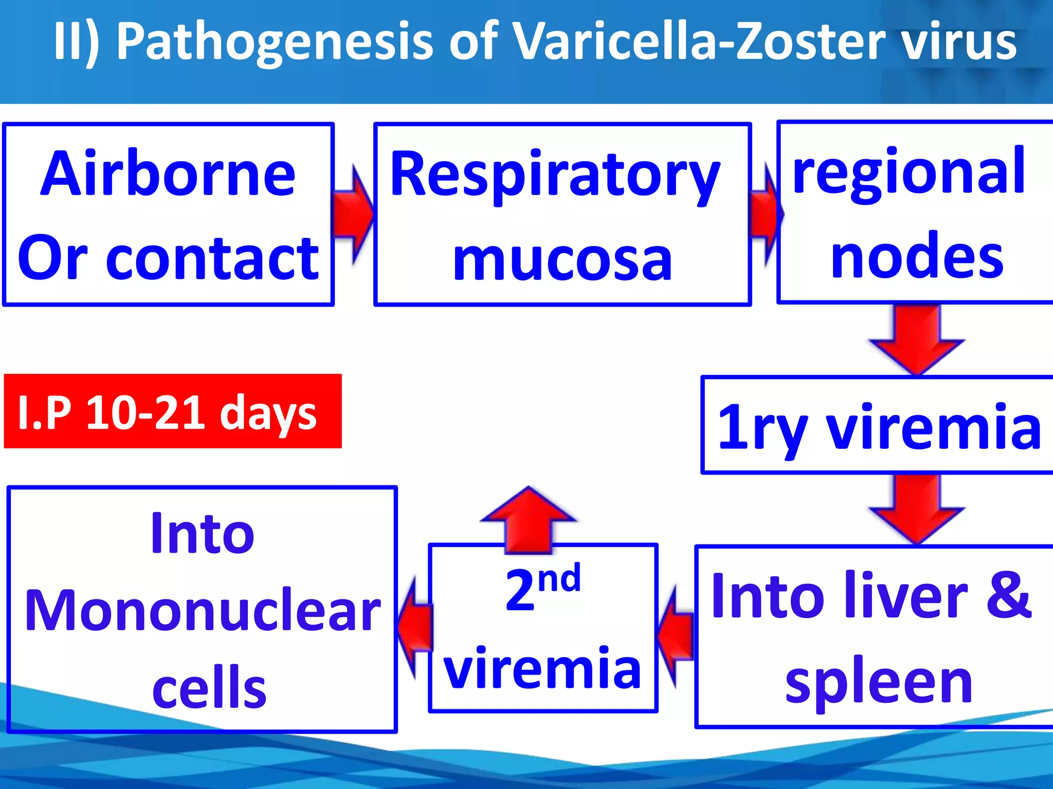 Lecture 5 Varciella-Zoster virus.pptx