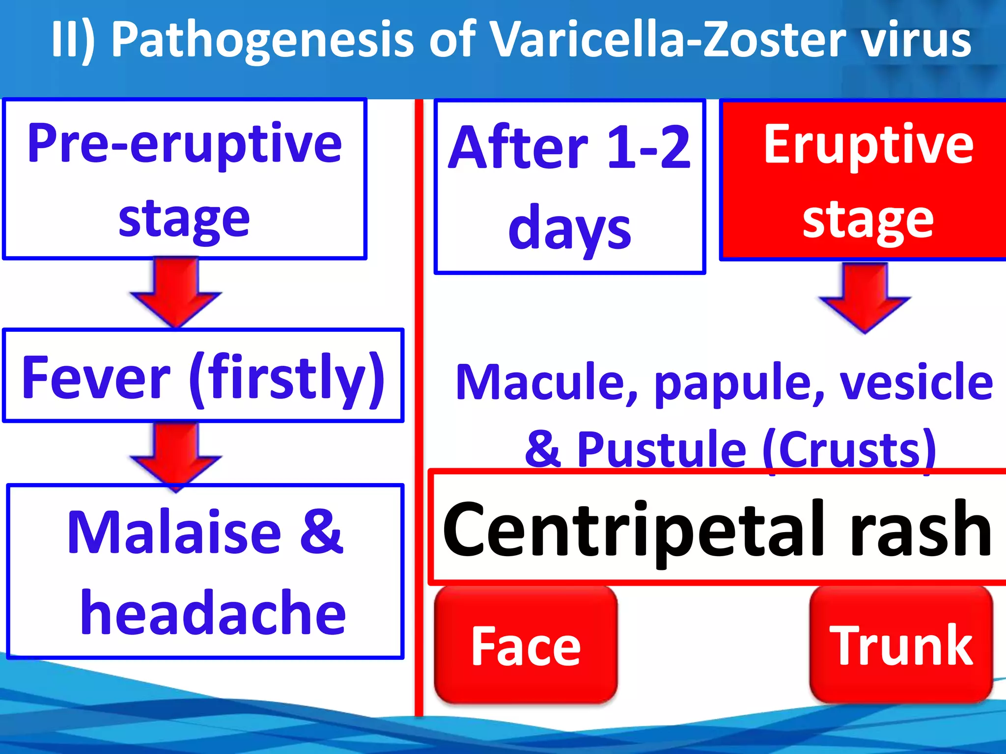 Lecture 5 Varciella-Zoster virus.pptx