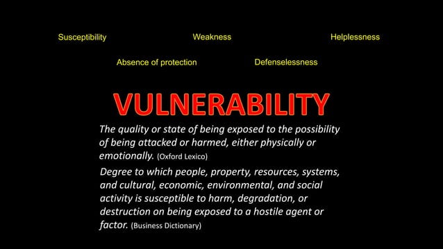 Vulnerability Mapping (Vulnerability Assessment)