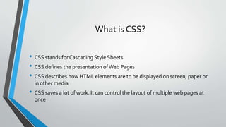 Web Development - Lecture 5 | PPT
