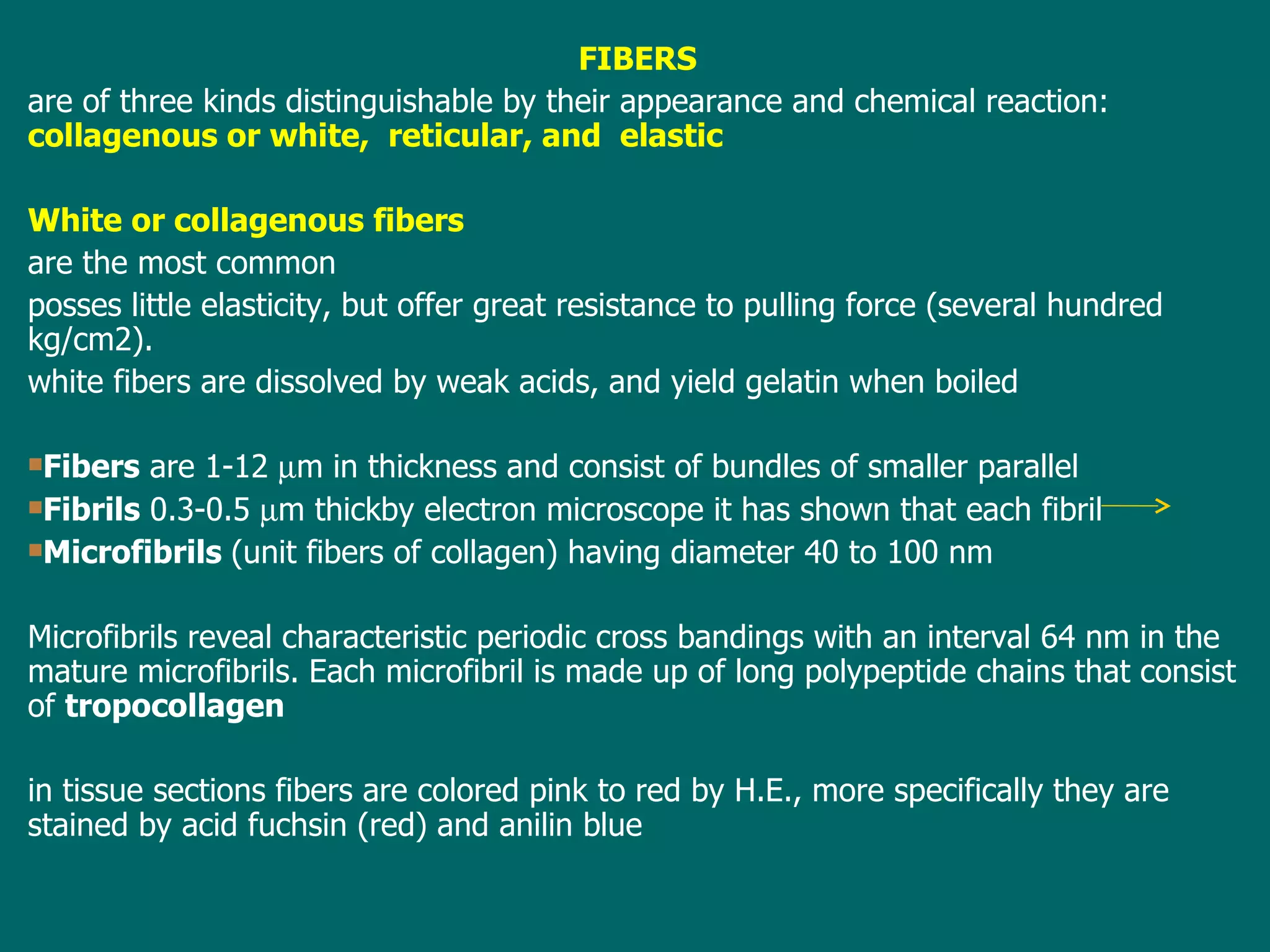 Lecture6 Ppt