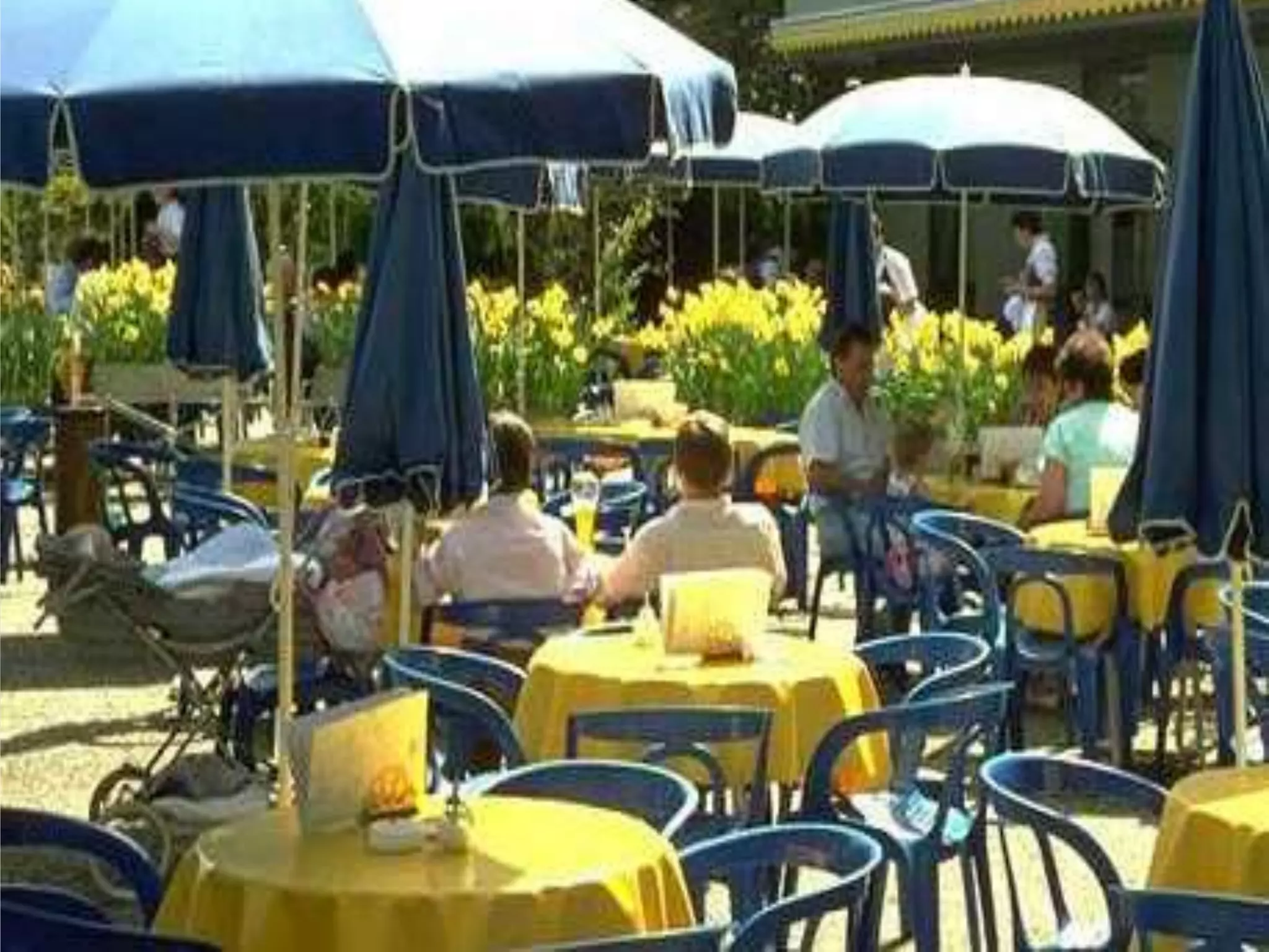 Behavior setting | PPTX | Environment | Science