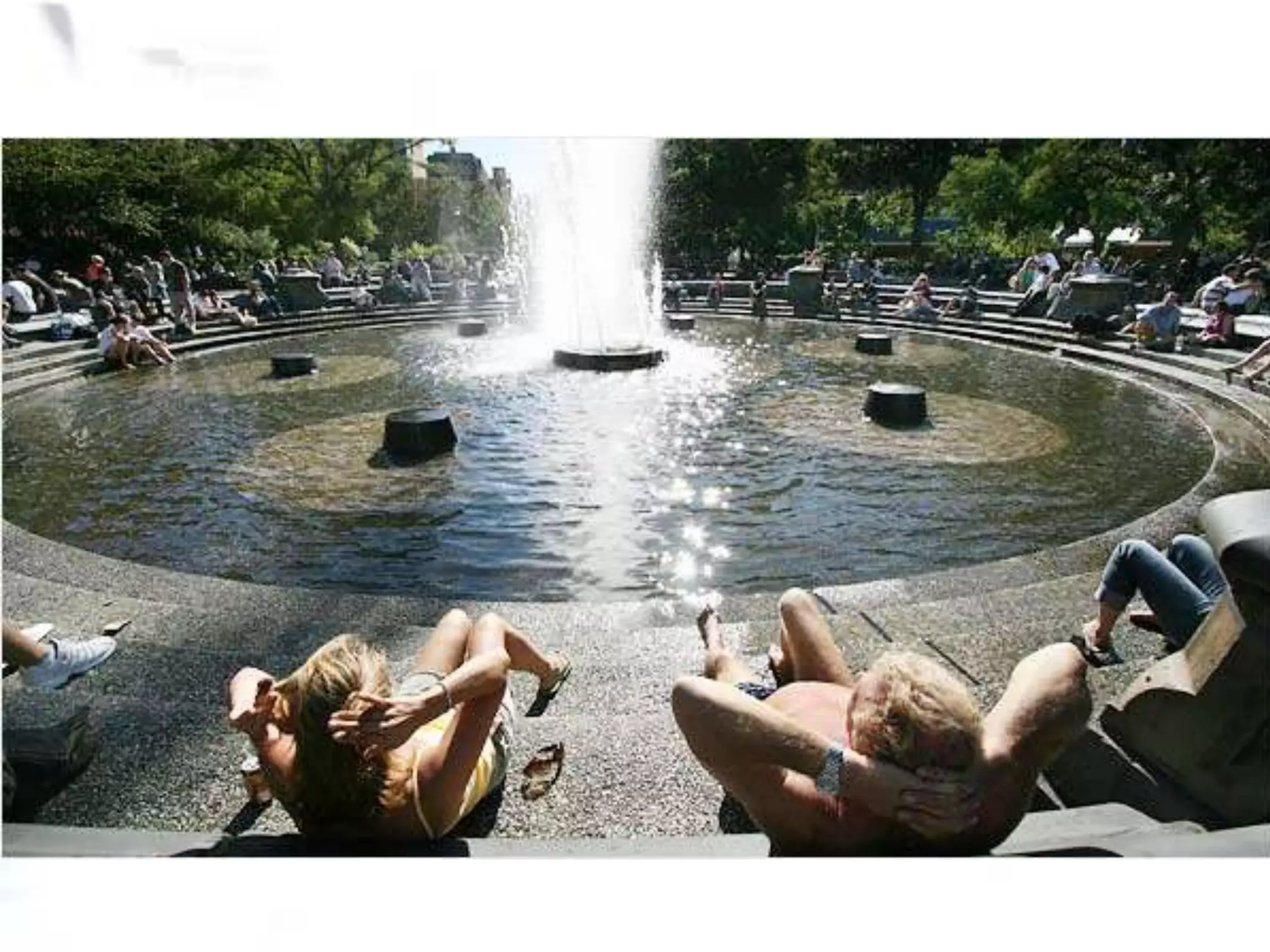 Behavior setting | PPTX | Environment | Science