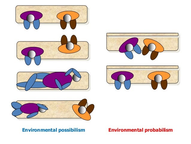 Behavior settings - Alchetron, The Free Social Encyclopedia