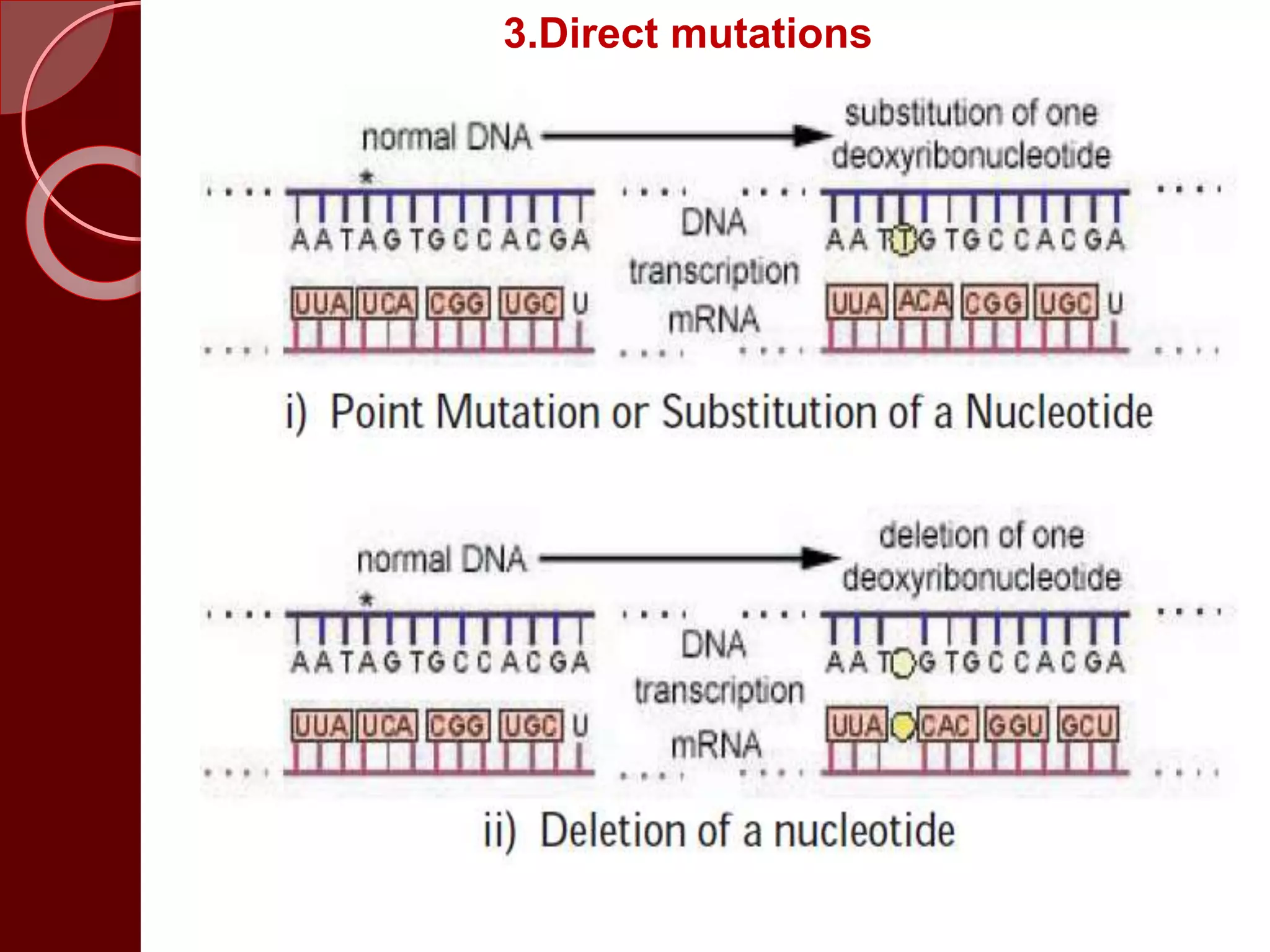 Strain development techniques of industrially important microorganisms ...