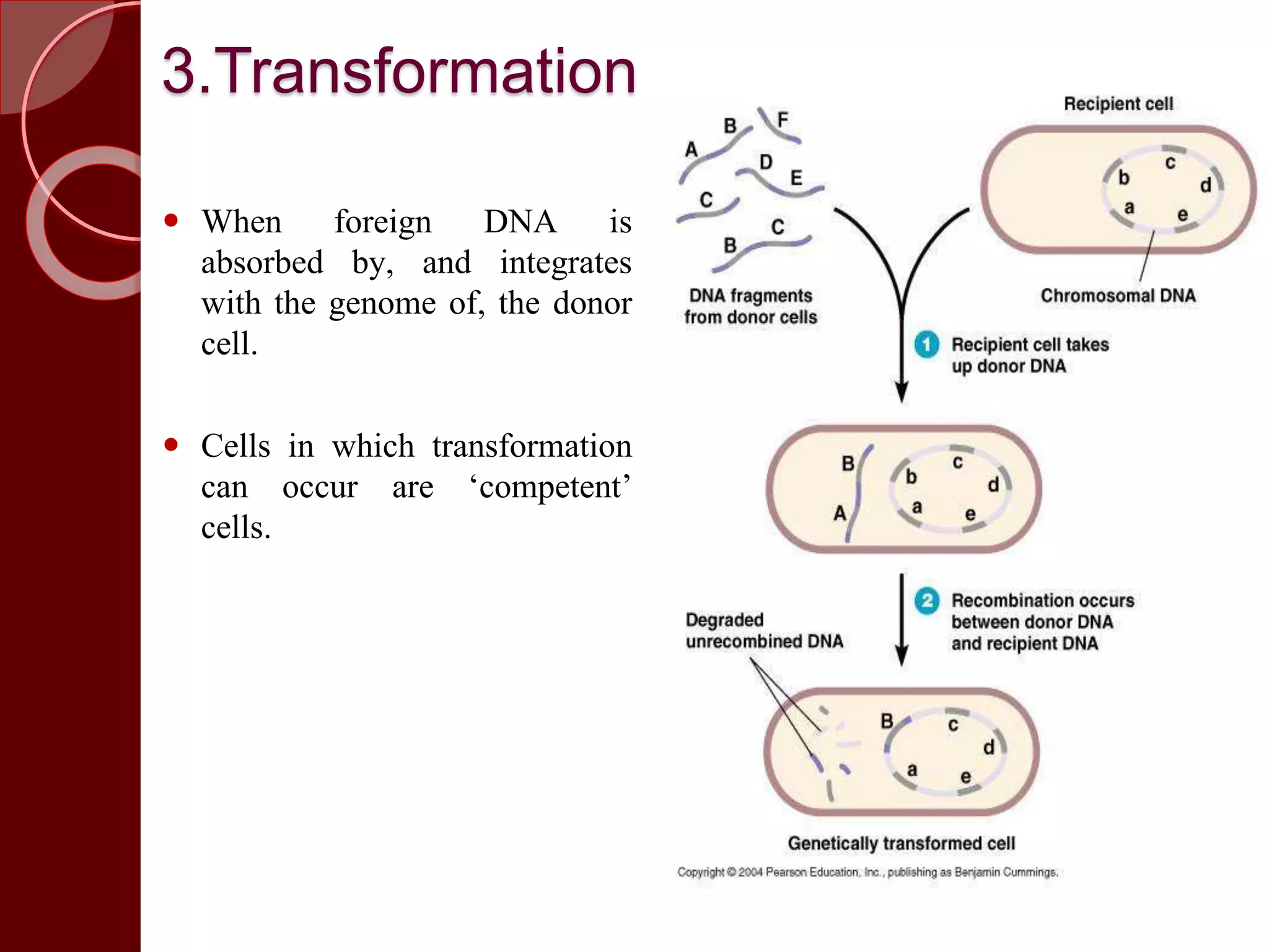 Strain development techniques of industrially important microorganisms ...