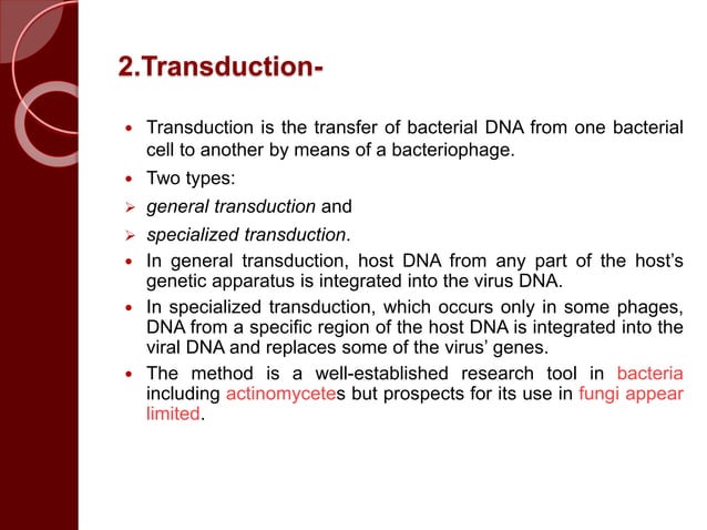 Strain development techniques of industrially important microorganisms ...