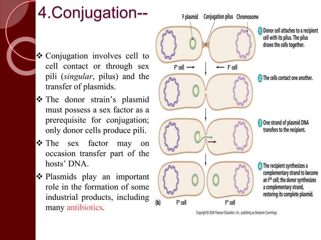 Strain development techniques of industrially important microorganisms ...