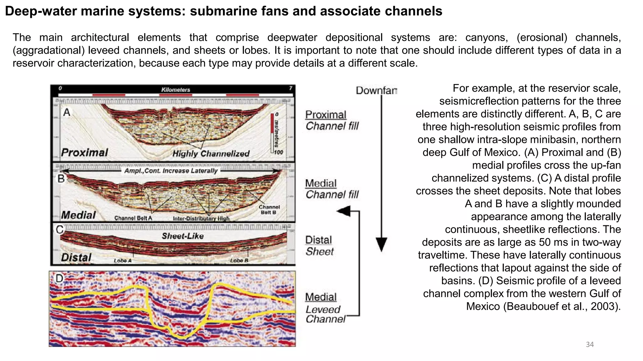 Sedimentology Lecture 6. shelves & turbidites | PDF