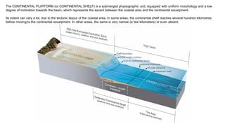 Sedimentology Lecture 6. shelves & turbidites | PDF
