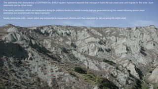Sedimentology Lecture 6. shelves & turbidites | PDF