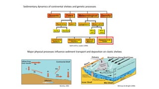 Sedimentology Lecture 6. shelves & turbidites | PDF