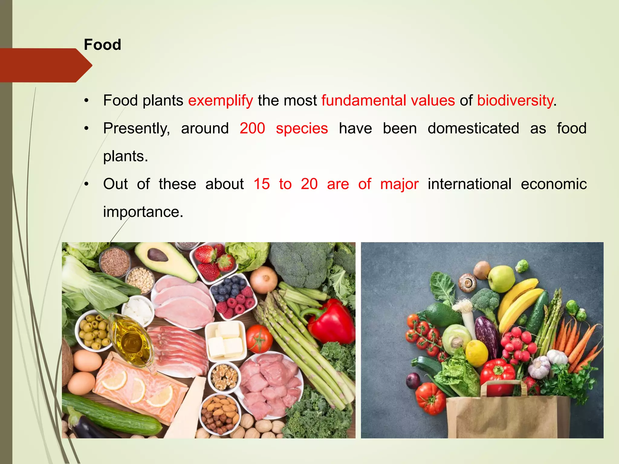 Lecture 6 1ppt Biodiversity | PPT