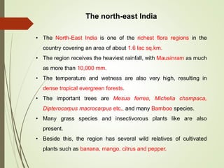 Lecture 6 1ppt Biodiversity | PDF