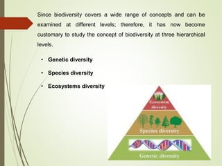 Lecture 6 1ppt Biodiversity | PPT