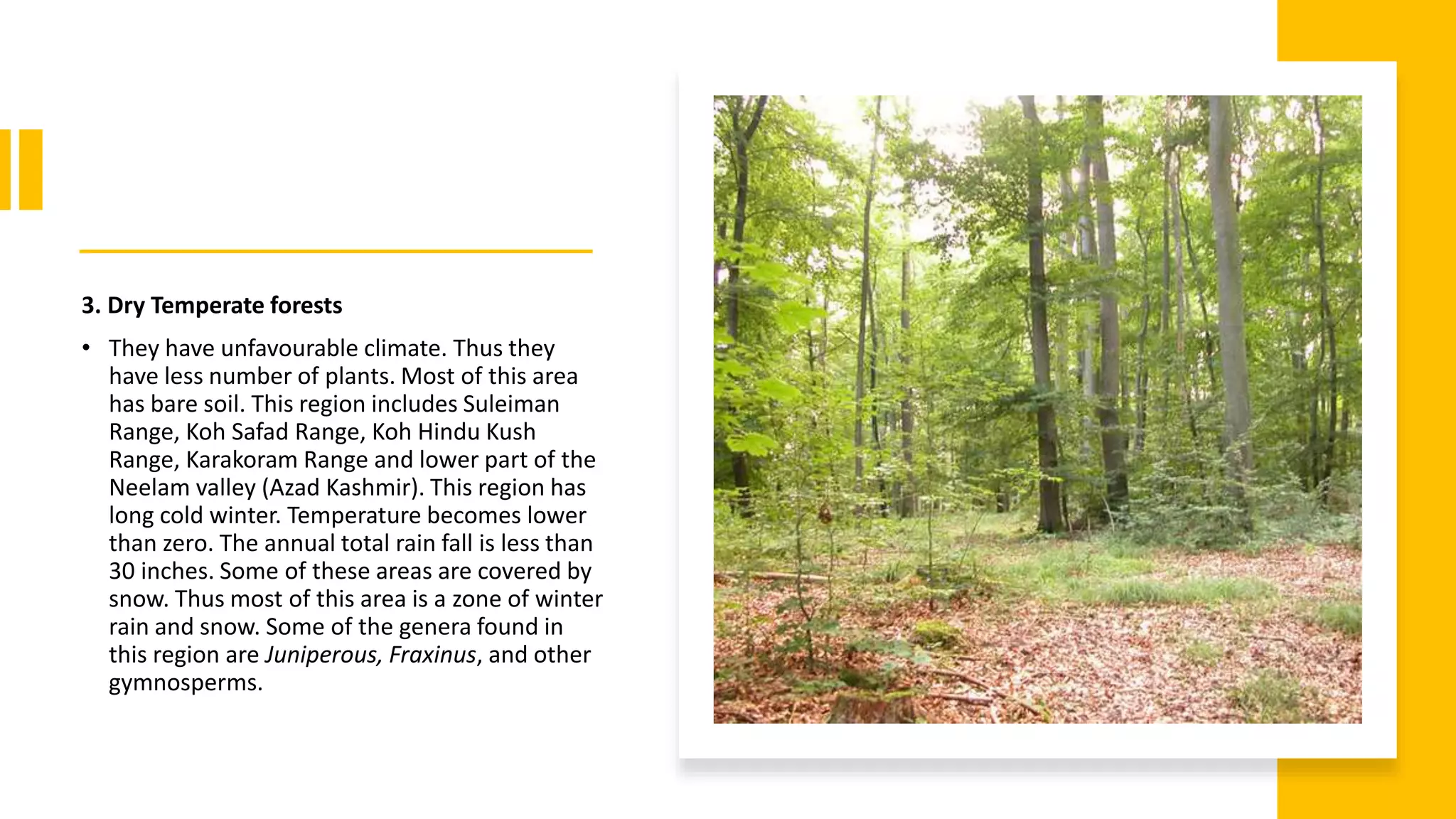 Local Vegetation in Pakistan | PPTX