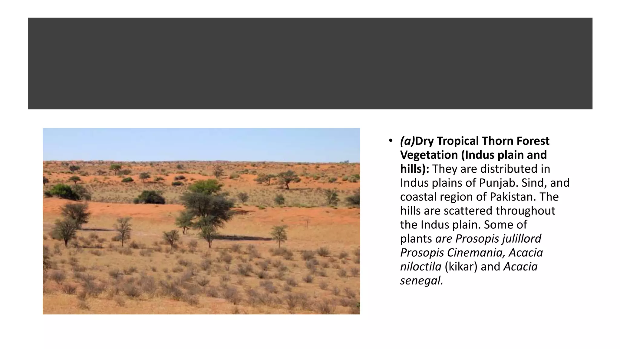 Local Vegetation in Pakistan | PPTX