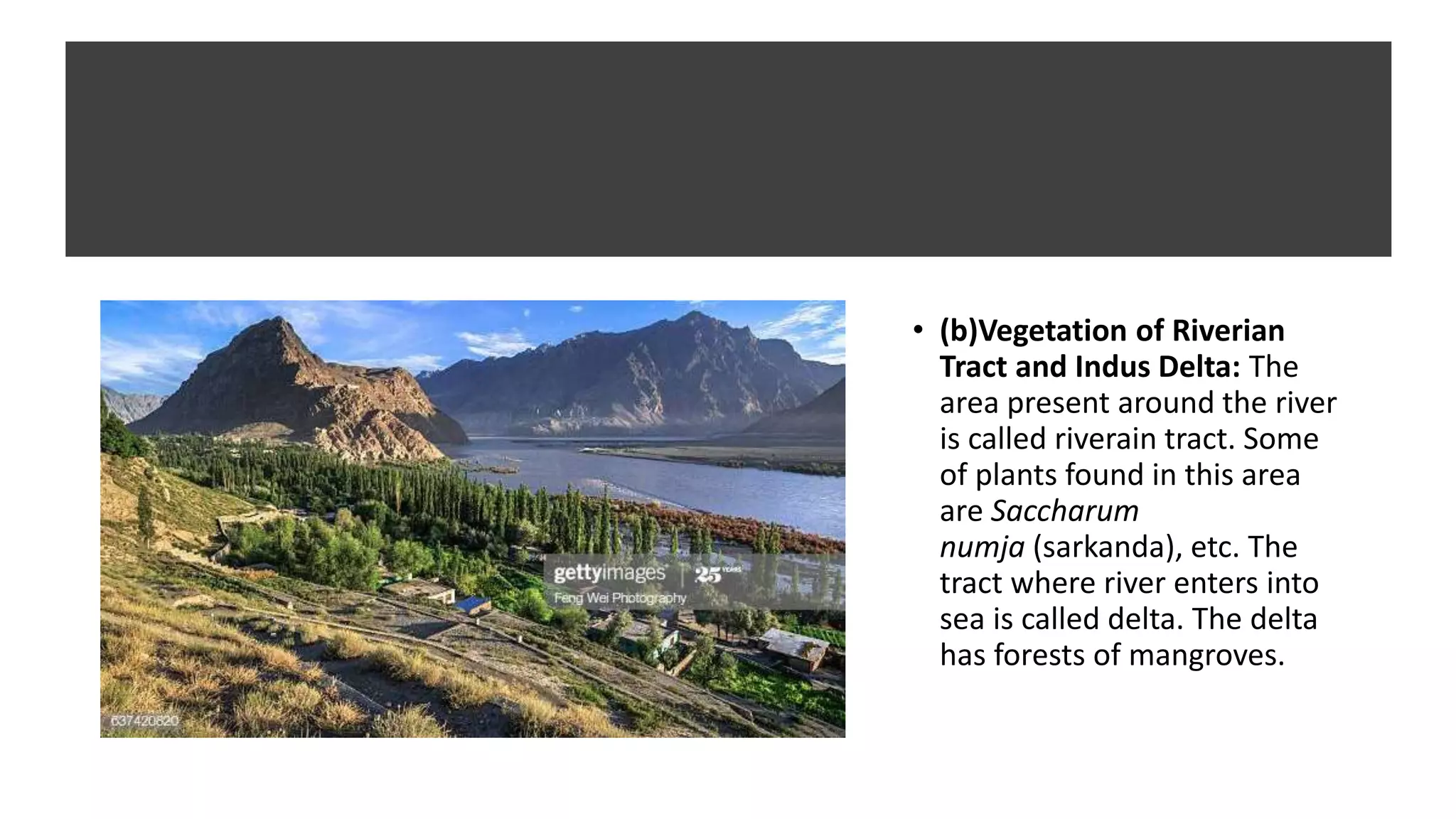 Local Vegetation in Pakistan | PPTX