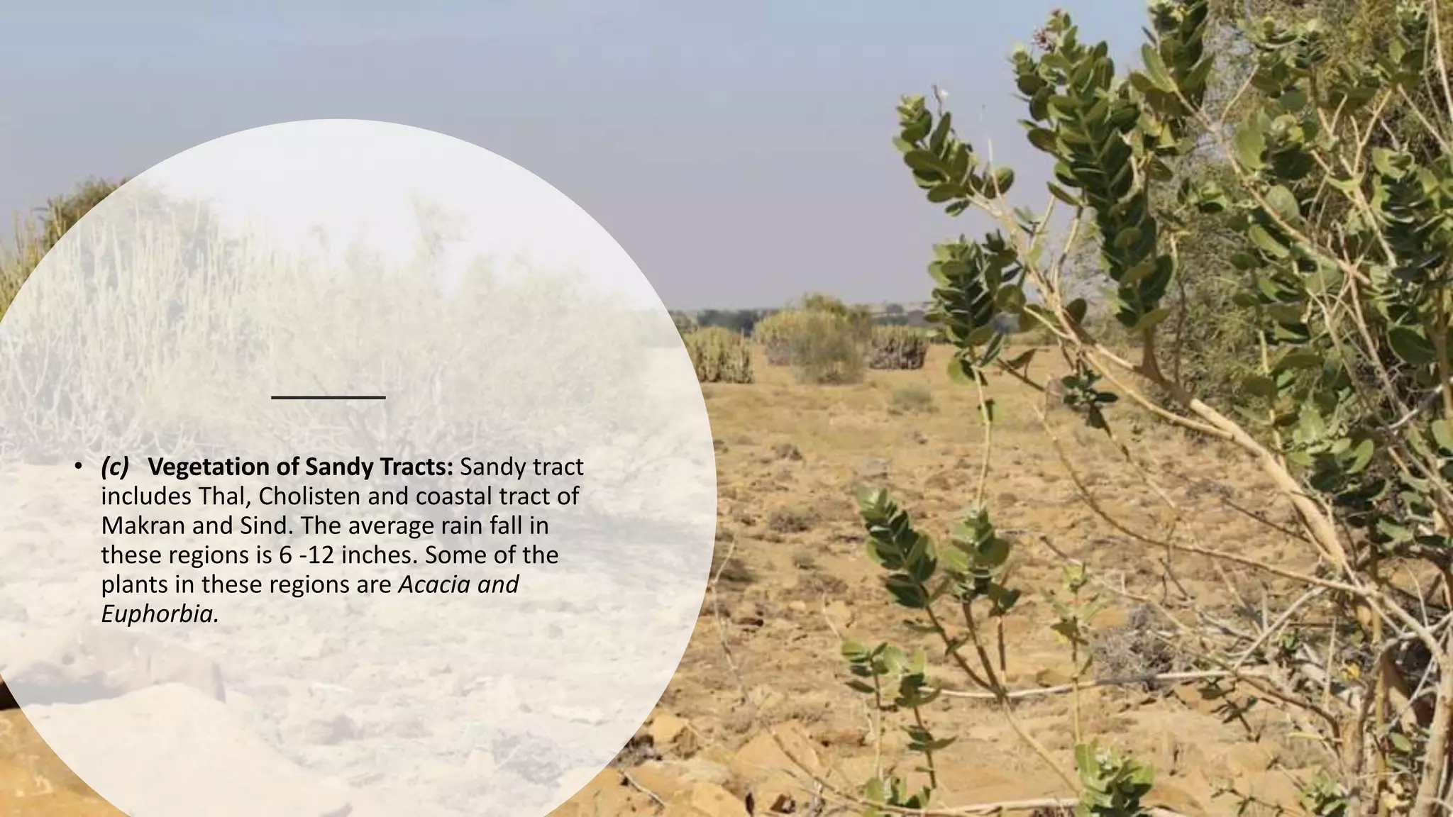 Local Vegetation in Pakistan | PPTX