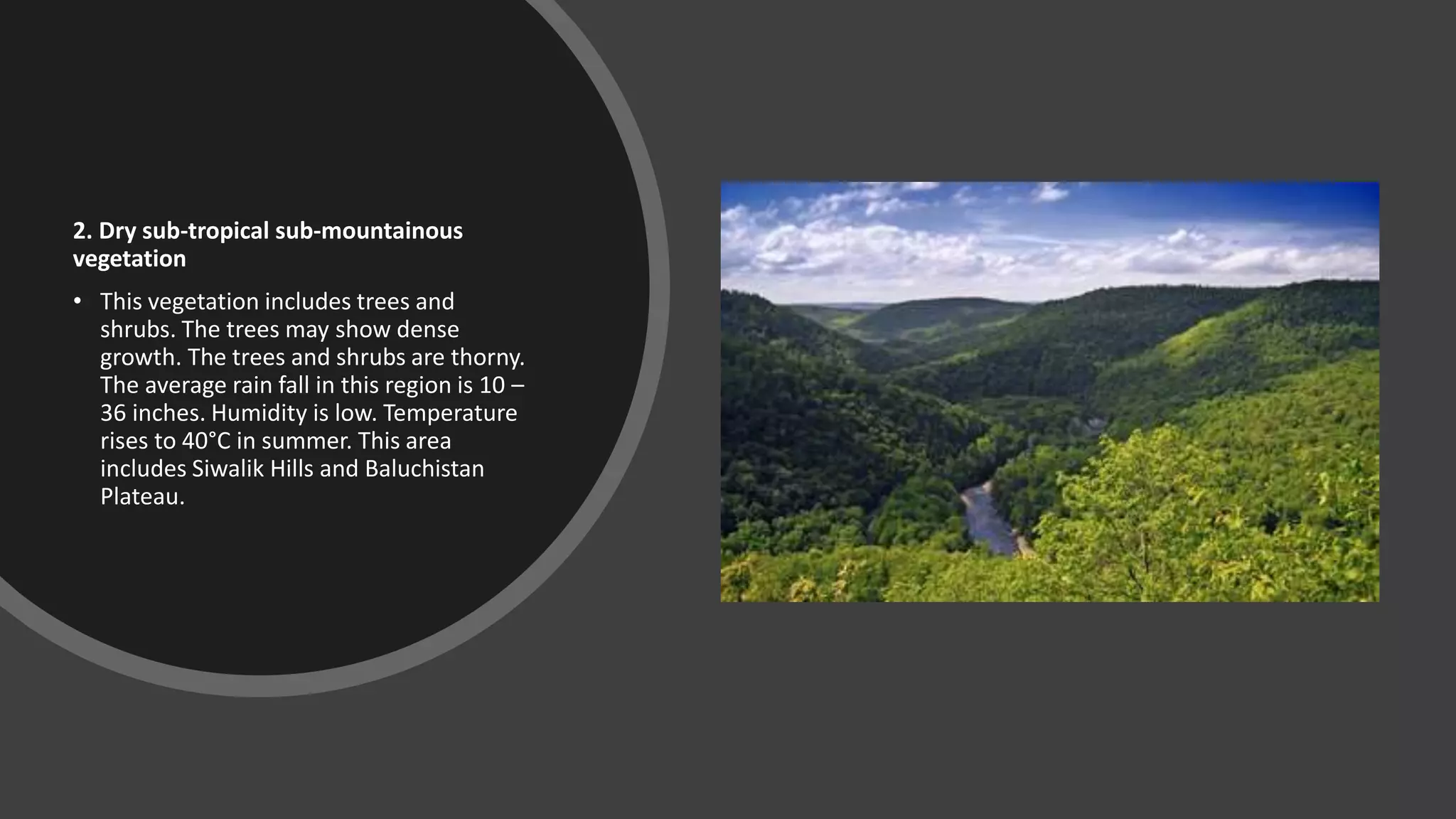 Local Vegetation in Pakistan | PPTX