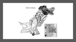 Local Vegetation in Pakistan | PPTX
