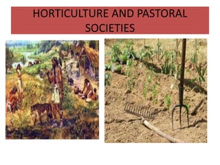 Society | PPTX