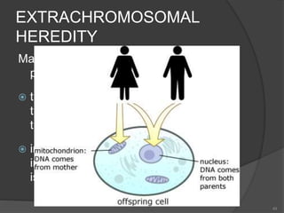 Lecture 6.pptx