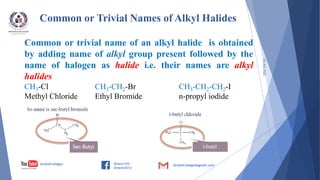 Nomenclature of Alkyl Halides | PDF