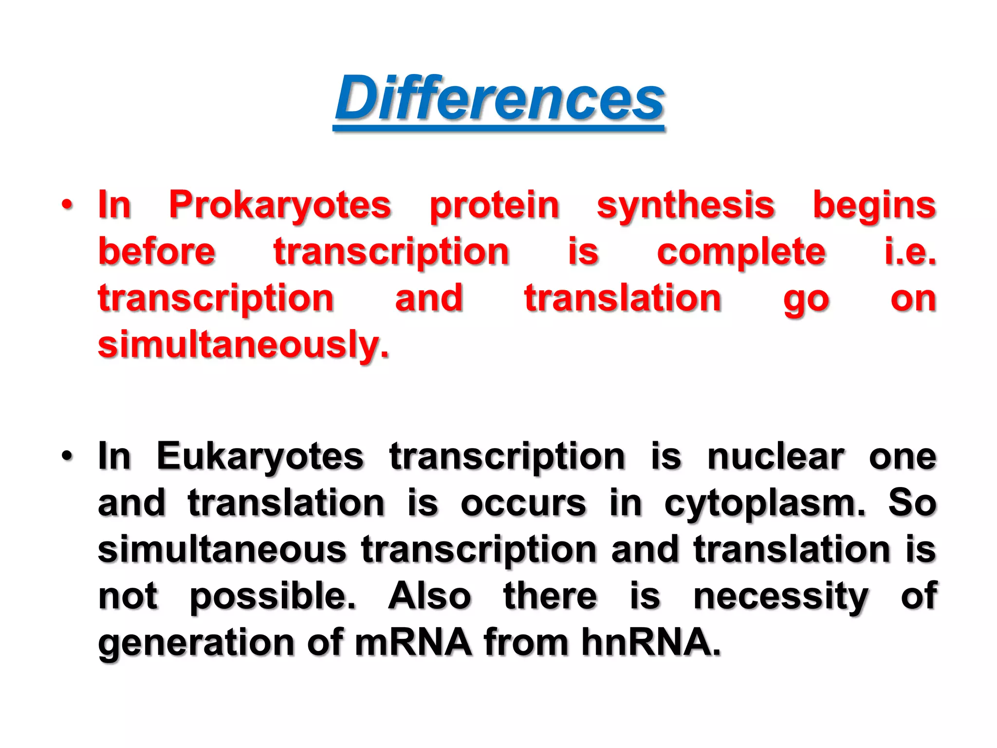 Lecture 6. Protein synthesis.ppt