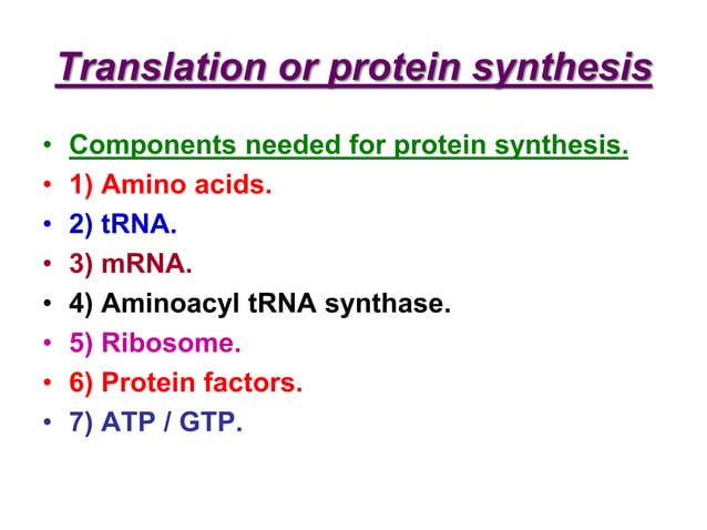 Lecture 6. Protein synthesis.ppt | Programming Languages | Computing