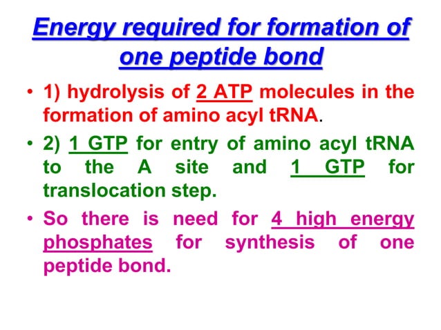 Lecture 6 Protein Synthesisppt Programming Languages Computing