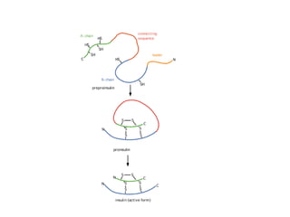 Lecture 6. Protein synthesis.ppt
