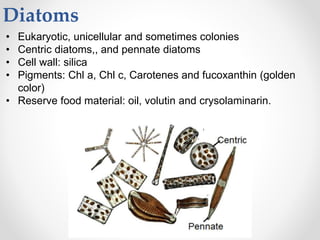Lecture 6.pptx