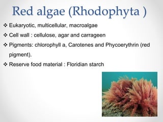 Lecture 6.pptx