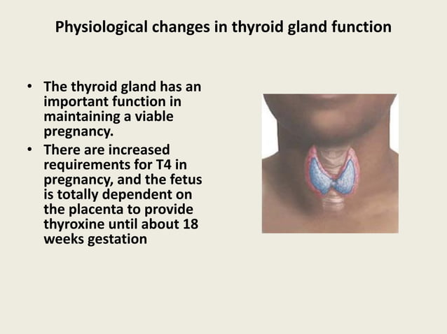 Lecture 6. Endocrine diseases and pregnancy (1).pdf