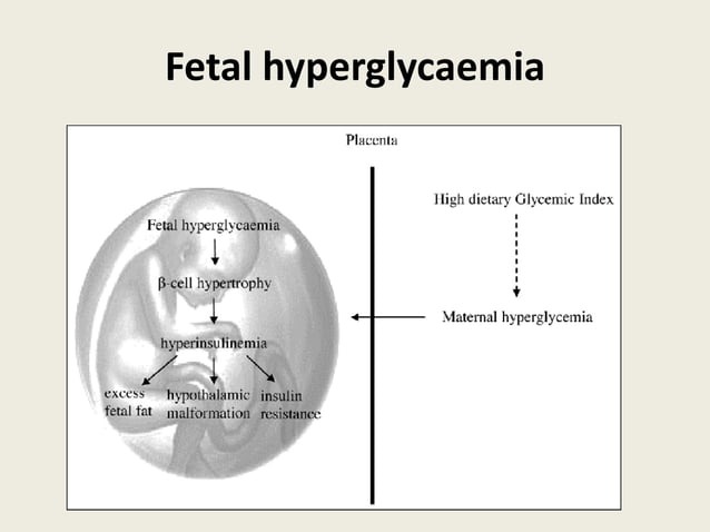 Lecture 6. Endocrine diseases and pregnancy (1).pdf