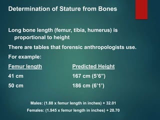 FORENSIC ANTHROPOLOGY AND ODONTOLOGY.ppt