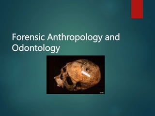 FORENSIC ANTHROPOLOGY AND ODONTOLOGY.ppt