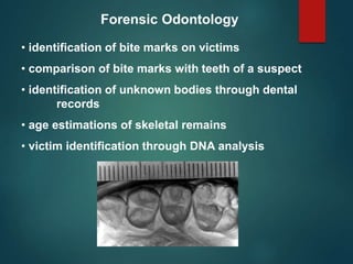 FORENSIC ANTHROPOLOGY AND ODONTOLOGY.ppt