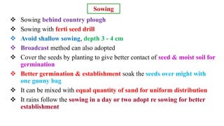 Lecture 6. Rapeseed and Mustard related topics | PPT