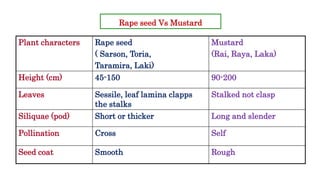 Lecture 6. Rapeseed and Mustard related topics | PPT