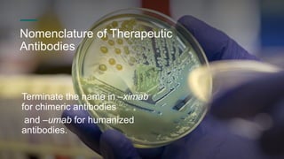 LECTURE 6.pptxdeferwfwefwefwefwerwrfwfwrf | PPT