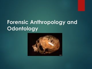 FORENSIC ANTHROPOLOGY AND ODONTOLOGY.ppt