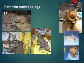 FORENSIC ANTHROPOLOGY AND ODONTOLOGY.ppt